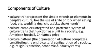 What is Culture and it's underlying implications (1).pdf