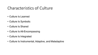 What is Culture and it's underlying implications (1).pdf