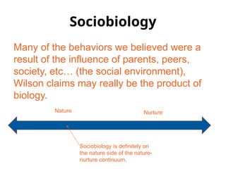 Sociobiology A level sociology socialization.pptx