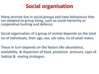 Social organization & Social behavior in animals | PPTX