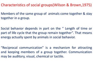 Social organization & Social behavior in animals | PPTX
