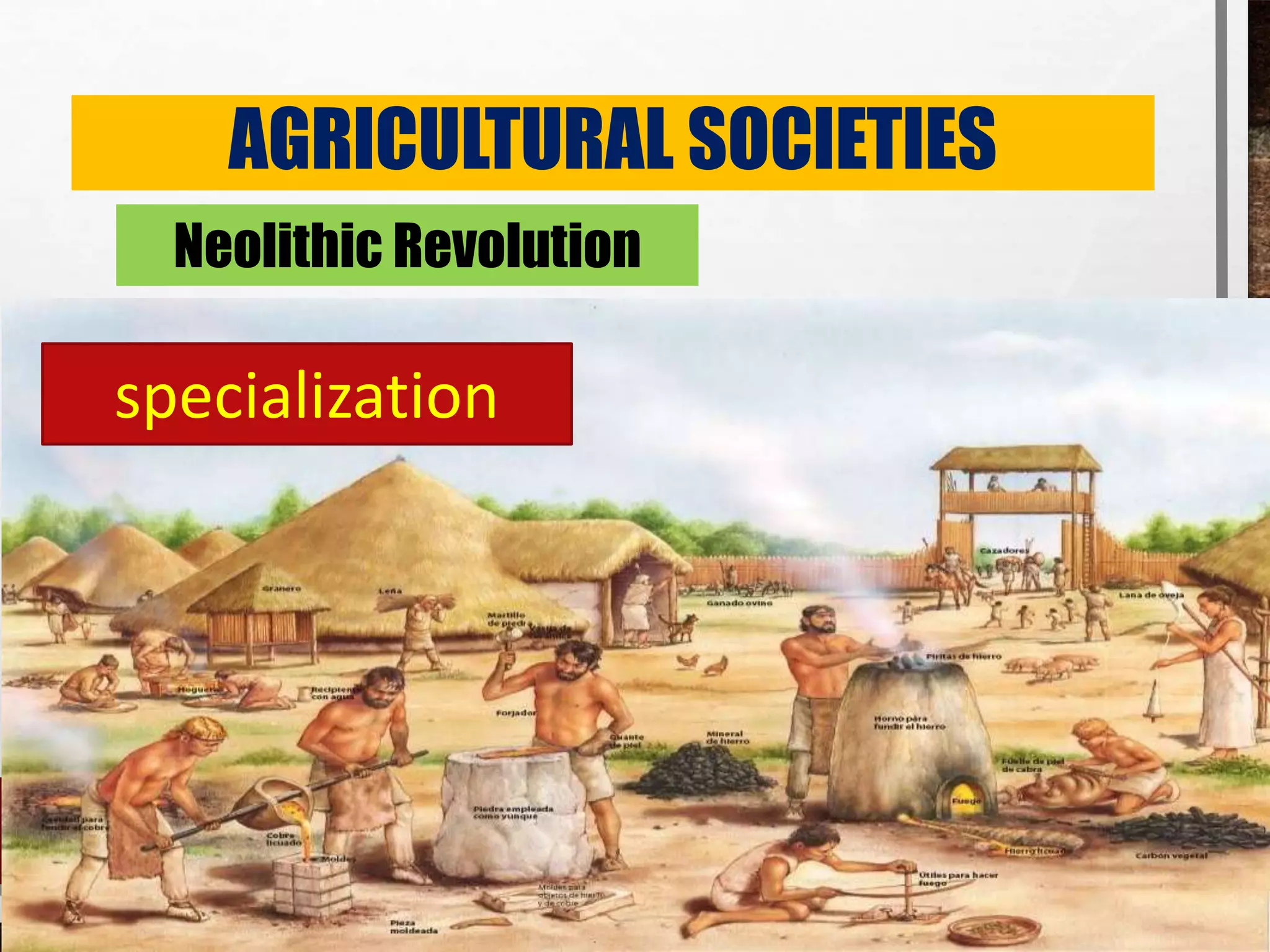 sociocultural evolution.pptx