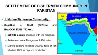socioeconomic conditions of fishermen community (1).pptx
