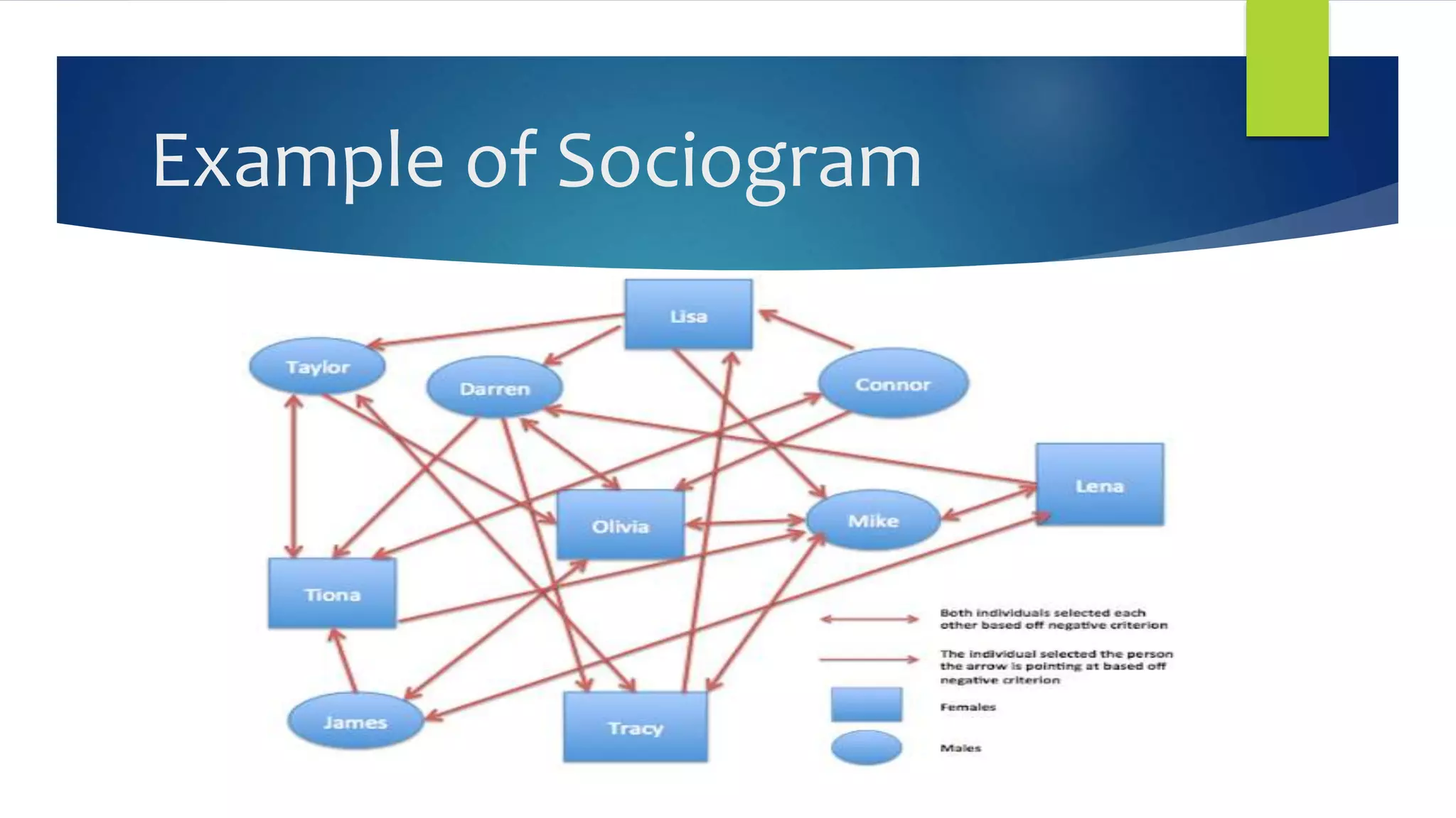 Sociograms | PPTX
