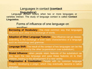 Sociolinguistics | PPTX