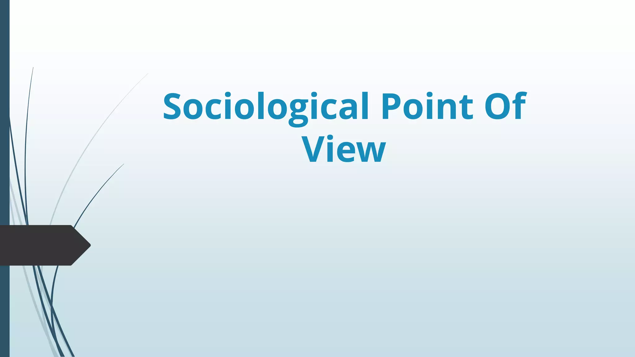 Sociological point-of-view | PDF