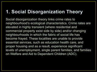 Sociological-Theory.pptx sociology of crimes | PPTX