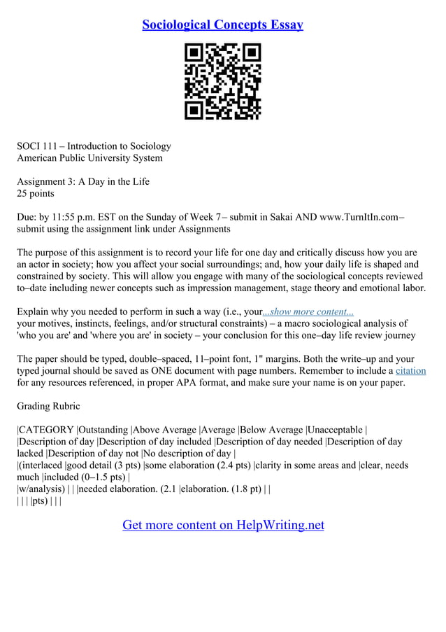 Sociological Essays | PDF