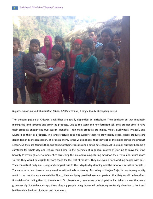 Report on Chepang Community of Shaktikhor, Chitwan, Nepal | PDF