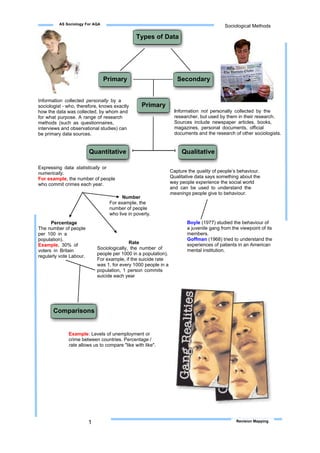 Sociological Methodology | PDF