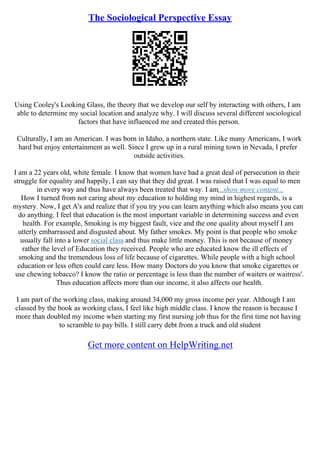 Sociological Perspective Essay | PDF