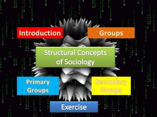 Structural Concepts of Sociology | PPT