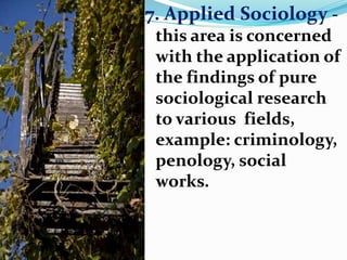 SociologyReport | PPT