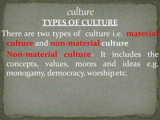 CULTURE- SOCIOLOGY | PPTX