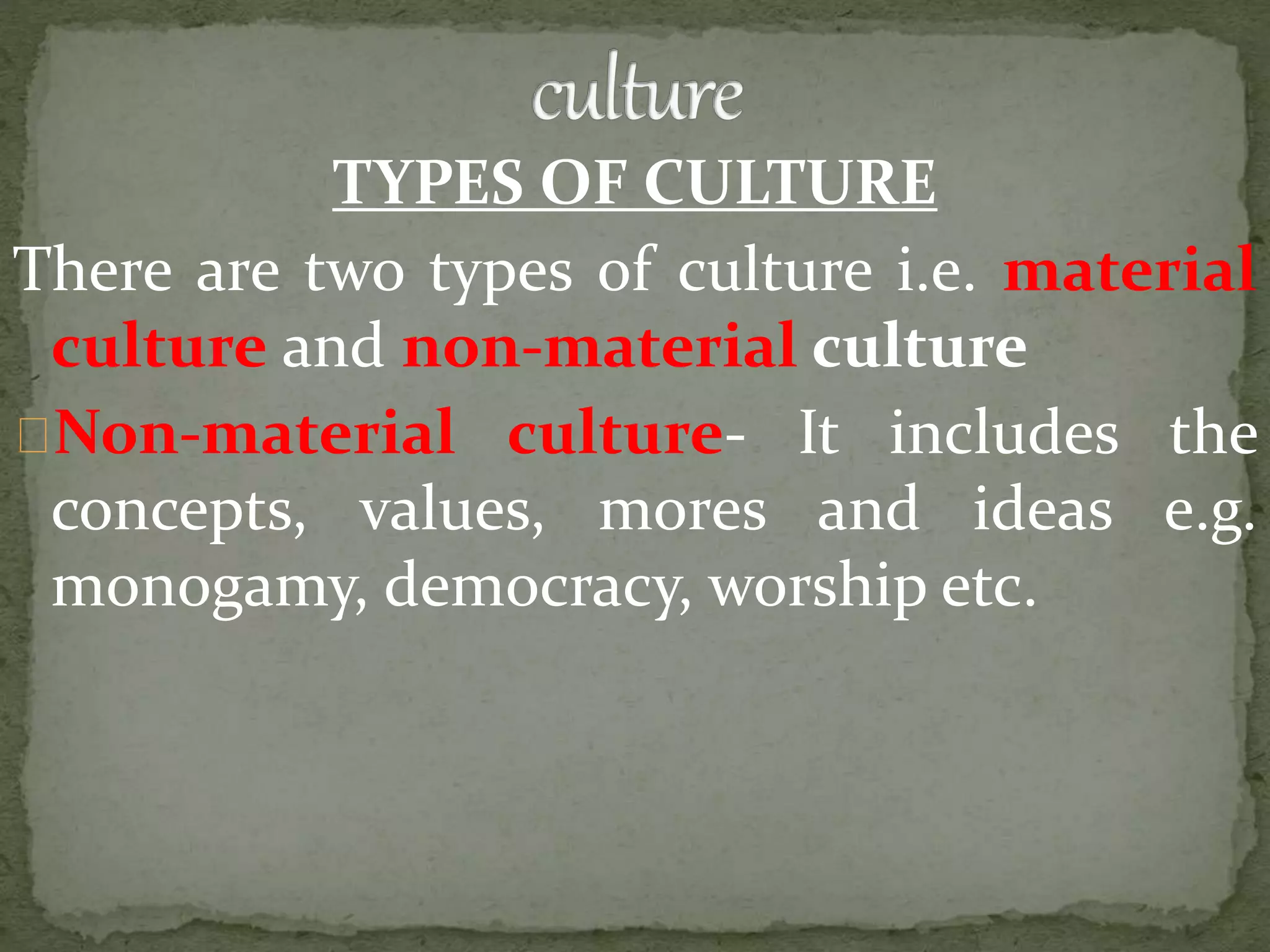 Sociology: culture | PPTX