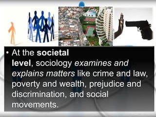 Sociology: Definition | PPTX
