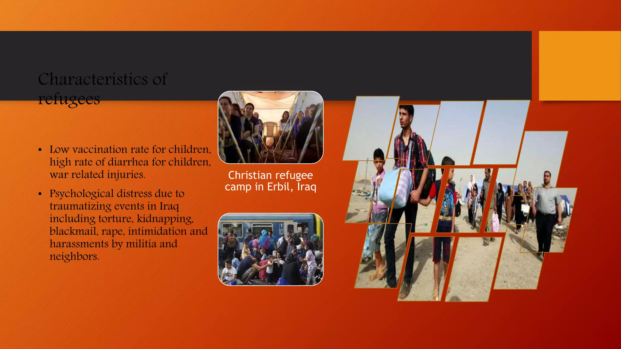 Iraqi culture | PPTX