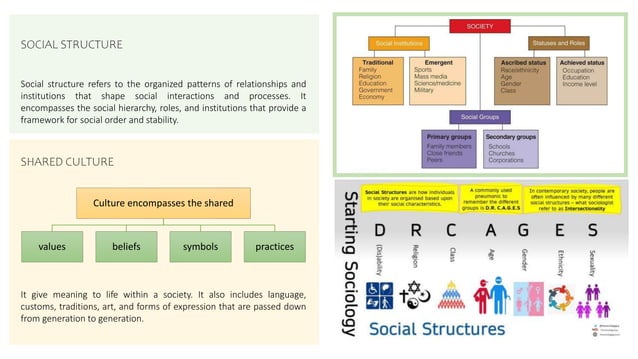 Society Concept, Meaning and Definition Approaches-Individual and ...