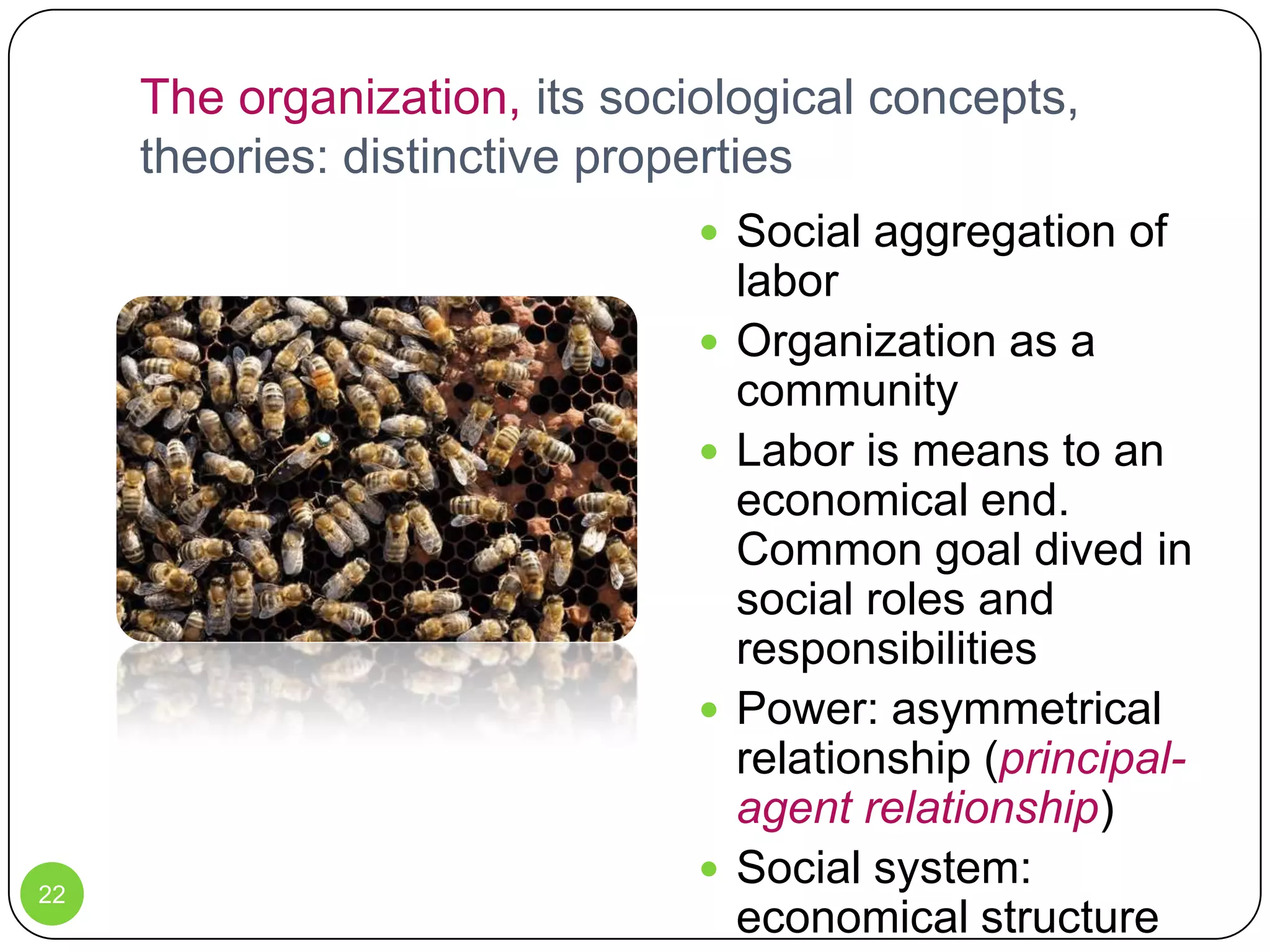 Introducing Sociology (2 of 2) | PPTX | Science