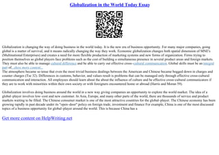 Sociology And Globalisation Essay | PDF