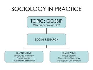 Sociology As A Career | PPT