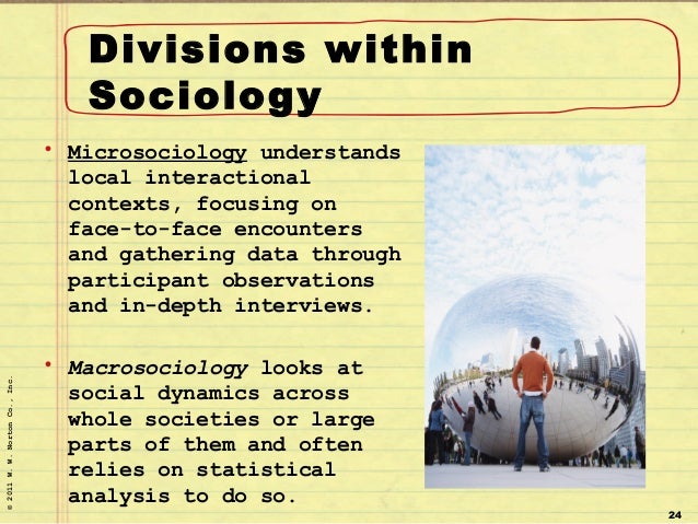 Sociology chapter 1