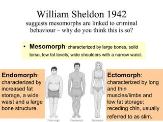 SociologyExchange.co.uk Shared Resource | PPT