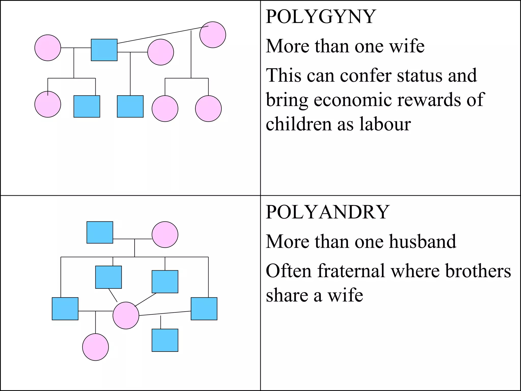 SociologyExchange.co.uk Shared Resource | PPT