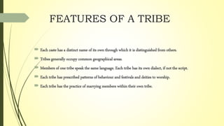 Tribal Community | PPTX
