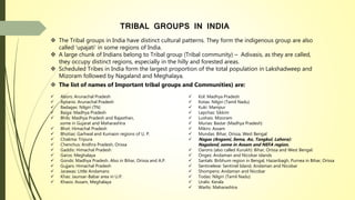 Tribal Community | PPTX
