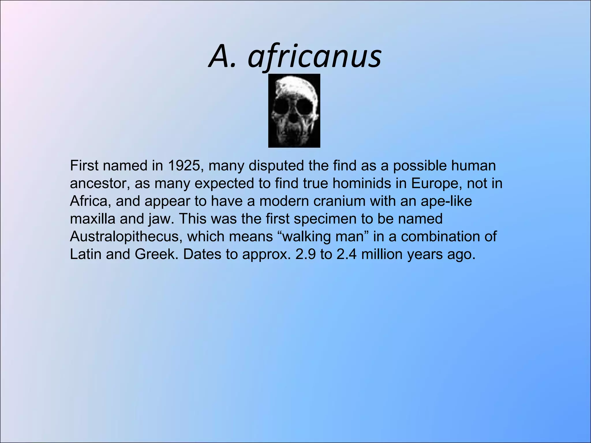 Sociology lesson1b human evoulution | PPT