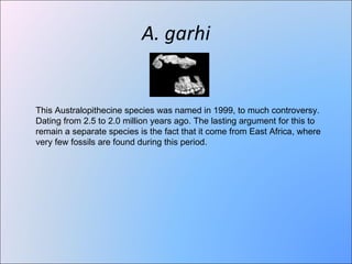 Sociology lesson1b human evoulution | PPT