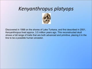 Sociology lesson1b human evoulution | PPT