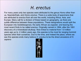 Sociology lesson1b human evoulution | PPT
