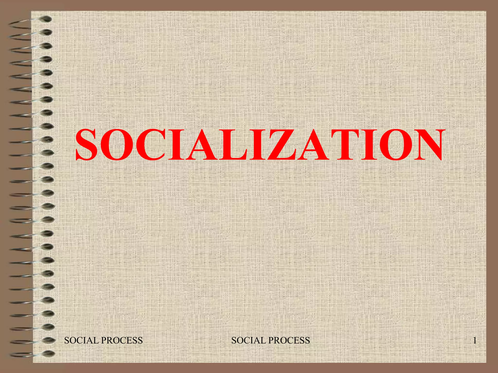 Sociology presentation | PPT