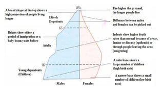 Sociology_Unit_2_-_Lesson_1_-_Population_Studies.pdf