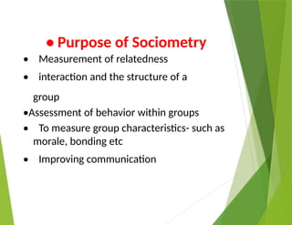 sociometery202201120163608-3ffe3a29.pptx