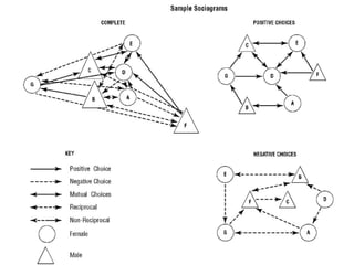 Sociometry | PPT