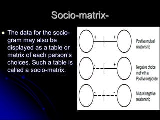 Sociometry for Evaluation in nursing research | PPT