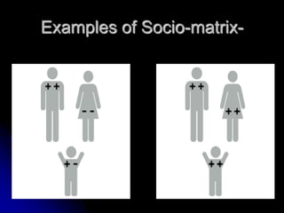 Sociometry for Evaluation in nursing research | PPT | Free Download