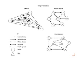 SOCIOMETRY final.pptx