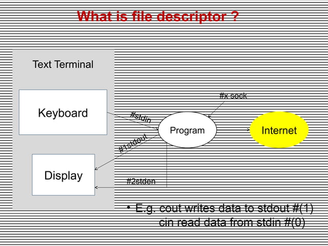 Socket programming | PPT