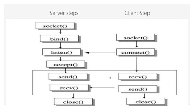 Socket programming or network programming | PPT