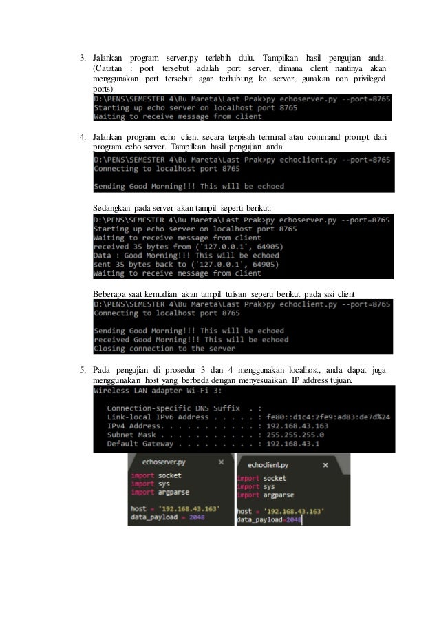 Socket Programming UDP Echo Client Server (Python) Socket Programming UDP Echo Client Server (Python)