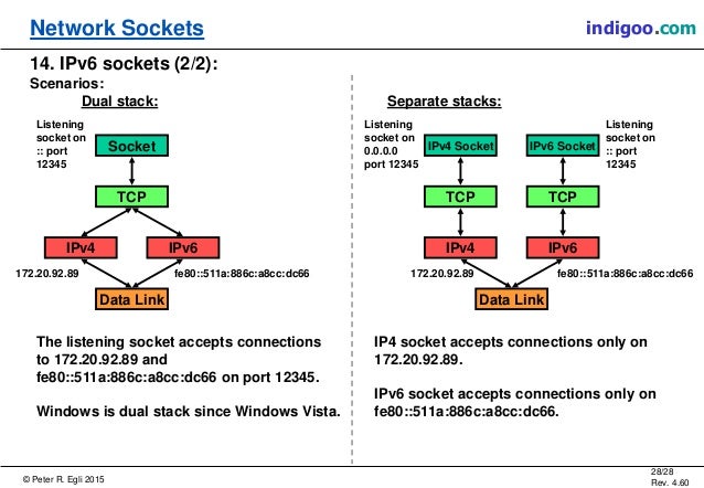 Network Sockets