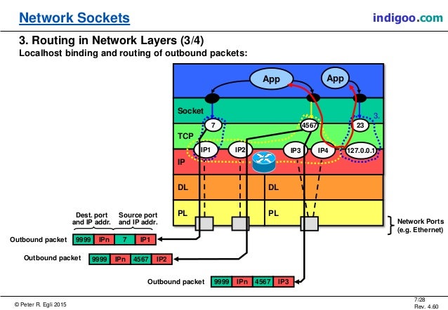 Network Sockets