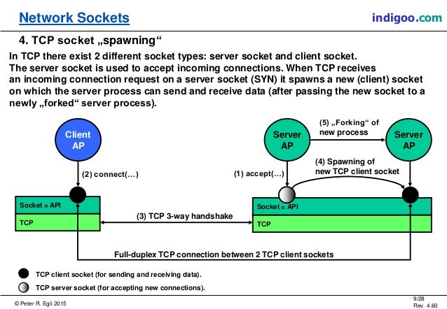 Network Sockets