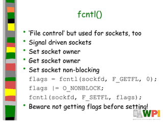Introduction to sockets tcp ip protocol.ppt