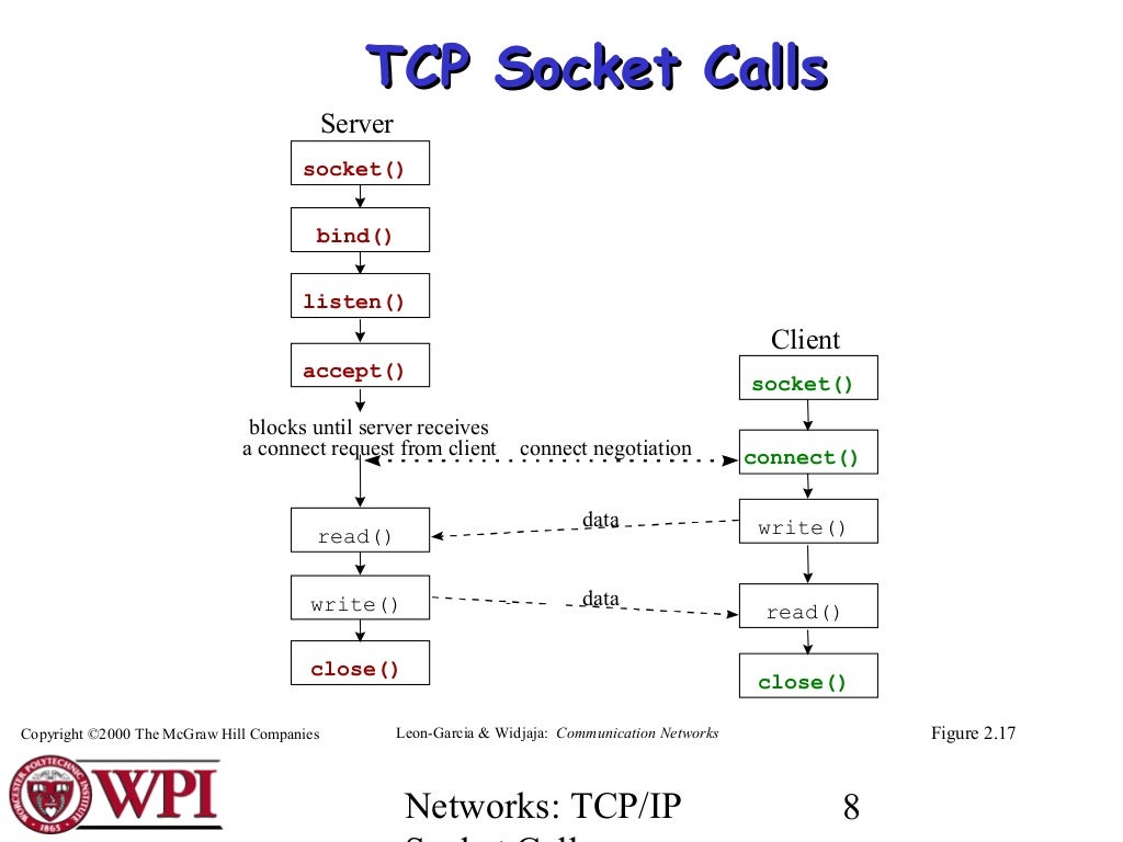 Socket System Calls