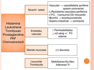 Socul anafilactic | PPTX